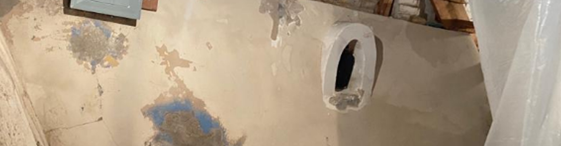 Mold Removal: Is The Mold Growing In Your Basement Toxic? | Zavza Seal LLC