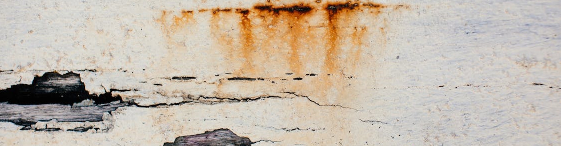 Rising Dampness In Your Walls? Here Is What You Can Do | Zavza Seal LLC