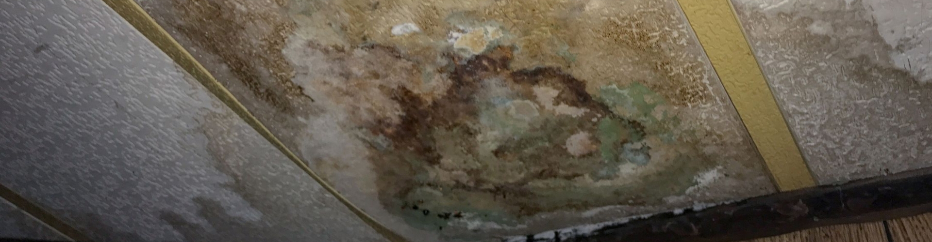 Water Damage Checklist (What You Should Do Immediately) | Zavza Seal LLC