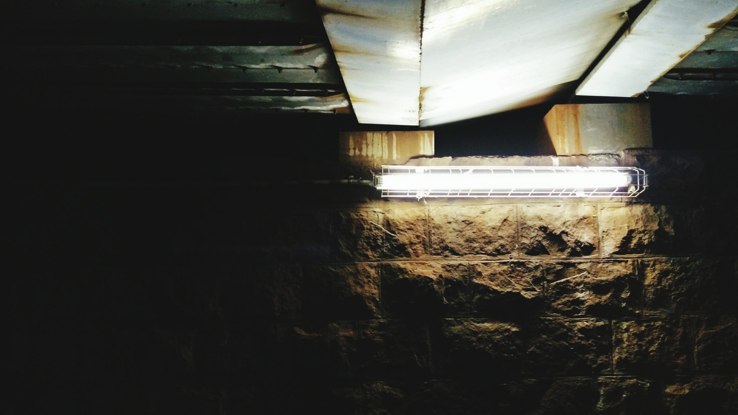 Professional Vs DIY Crawl Space Encapsulation
