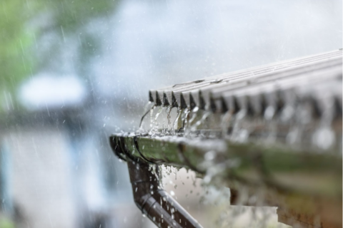 Effective Rainwater Management Techniques For Protecting Your Foundation