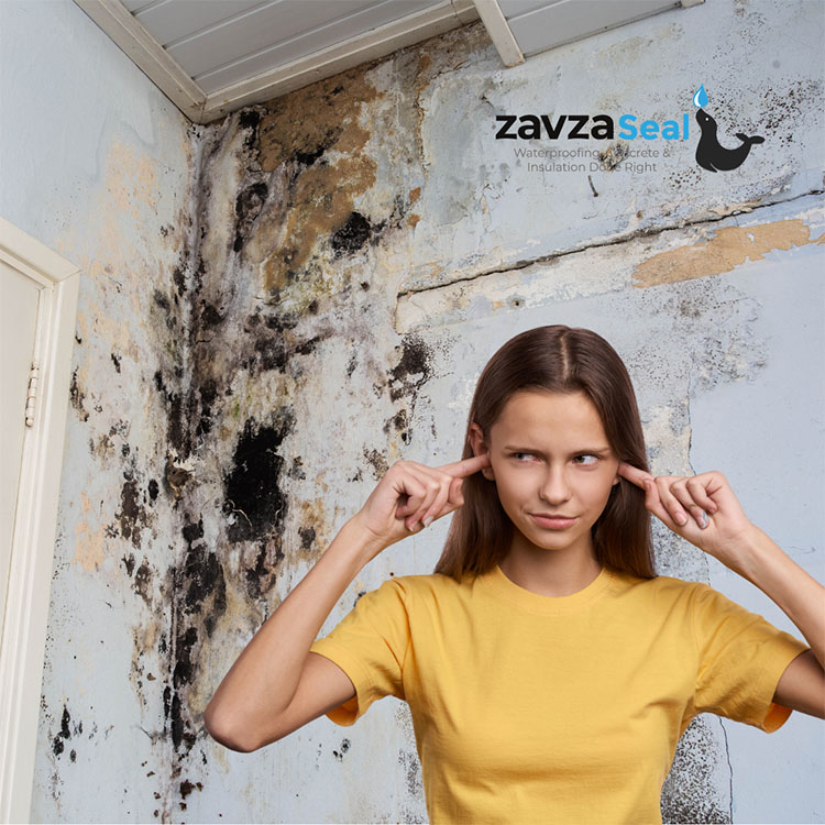 Mold Remediation Near Me | Mold Removal Services In Suffolk And Nassau ...